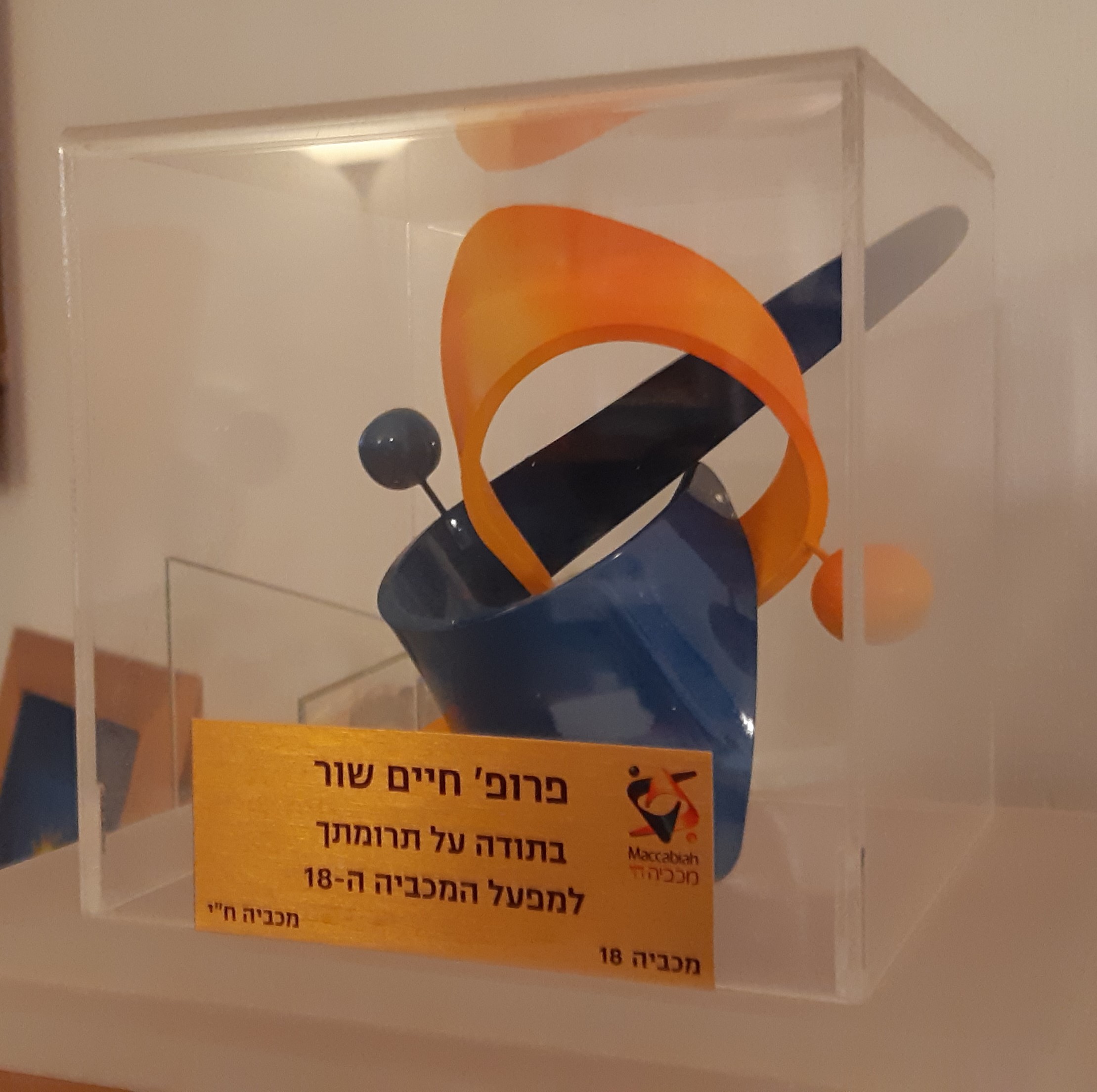 How I Repaid Maccabiah for Saving My Father from the Holocaust – Haim ...